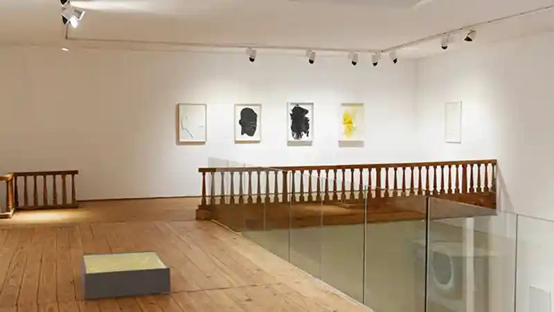 Exhibition: "Buikspraak / Gutspeak" by Dominique Edwards