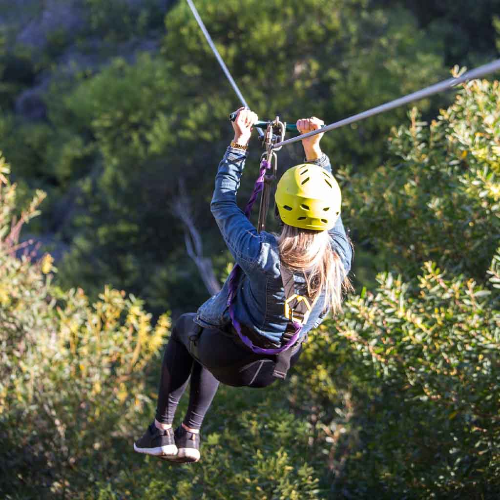 CTSP - Orms Direct - South Africa