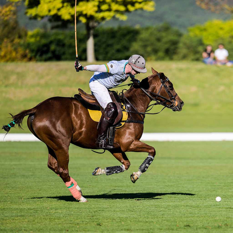 CTSP - Orms Direct - South Africa