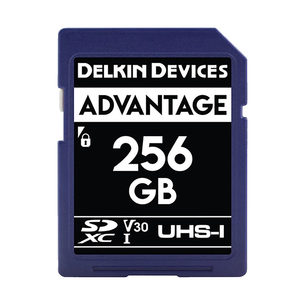 Delkin Devices 256GB Advantage UHS-I SDHC (100MB/s) Memory Card - Orms ...