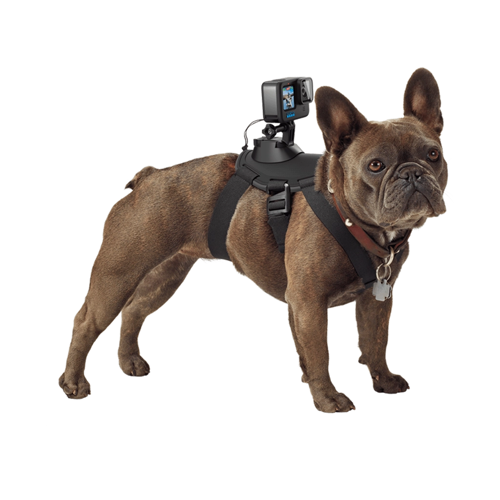 GoPro Action Camera Mounts - Orms Direct - South Africa